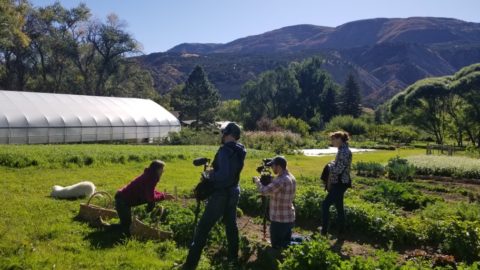 Home - Kelly Turner | NY Times Bestselling Author, Screenwriter, & Producer